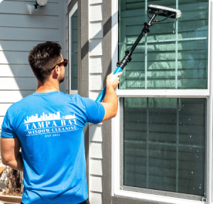 Home - Tampa Bay Window Cleaning, Inc.